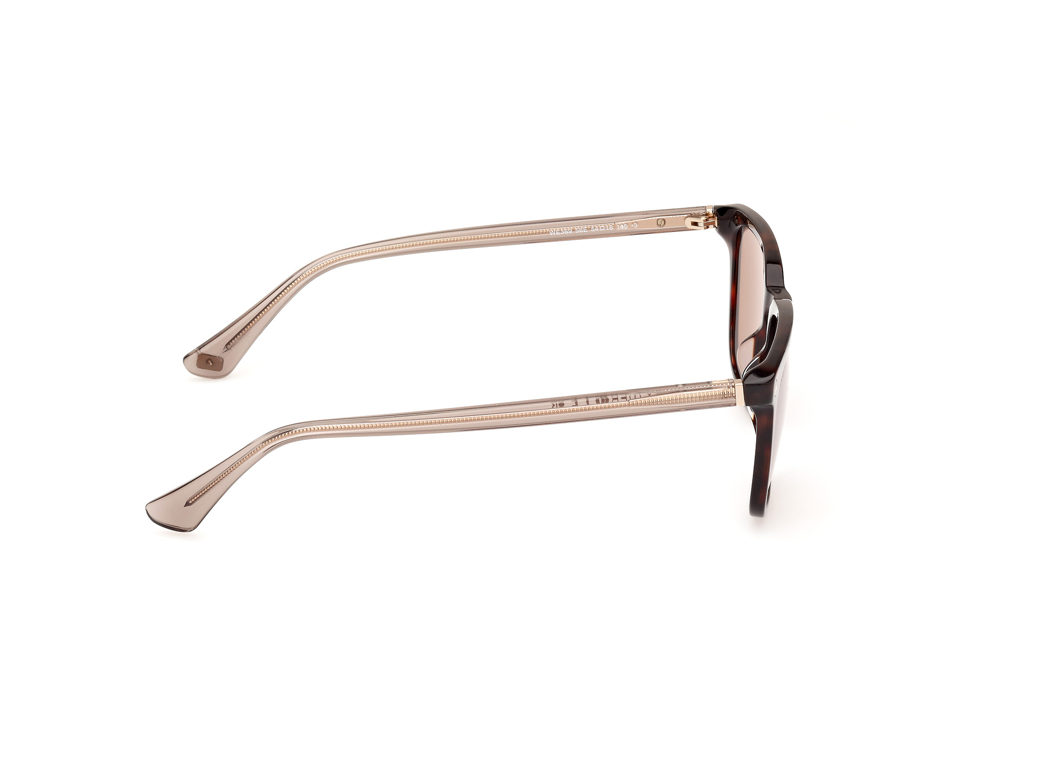 Web Eyewear Collection - Marcolin
